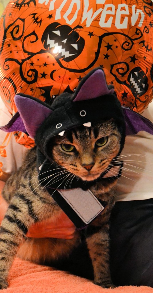 Bug the cat bat (13) - Merriment Maker by Uncustomary