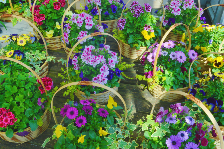 Spring Bucket List: 100 Things To Do In Spring - Uncustomary ...